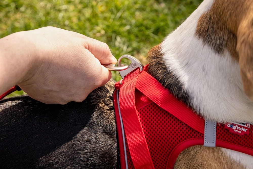 Curli Vest Harness Magnetic V2 Red XS